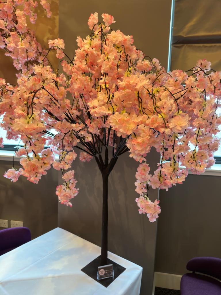 Rental - Tree - Deluxe Weeping Cherry Blossom – Thoughts and Crosses